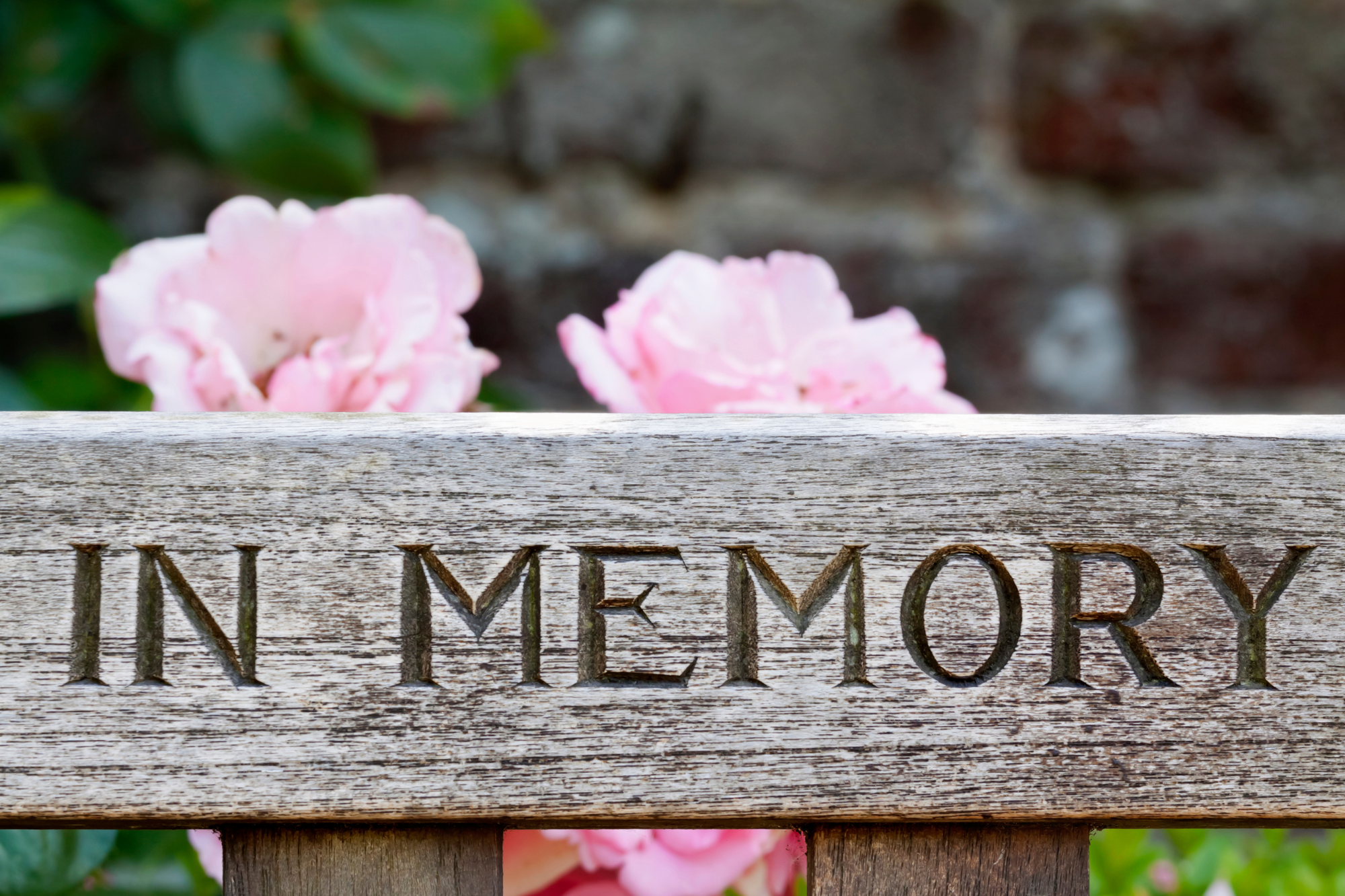 Donate in Memory - MD Support Centre